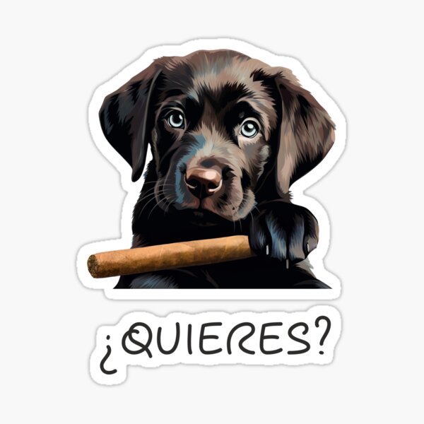 "Quieres Meme "You Want" Dog Holding Blunt Labrador Retriever Puppy ...