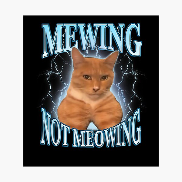 "Funny Cat Meme Mewing LooksMax Meowing cat Trend " Photographic Print ...