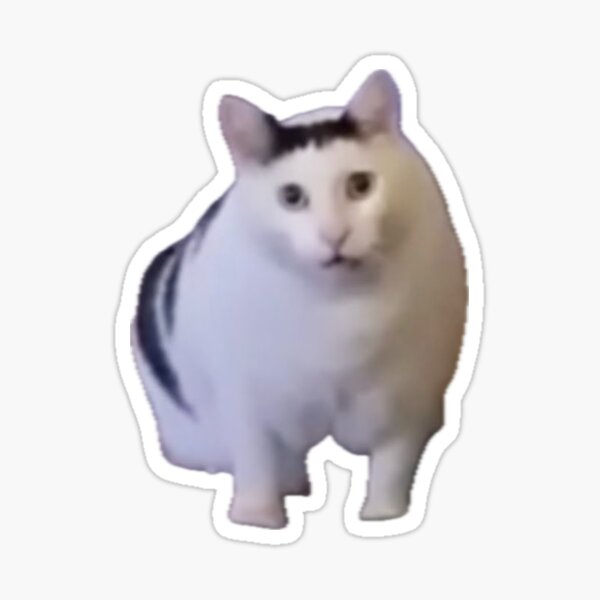 "Huh cat funny tiktok meme cat" Sticker for Sale by UchihaIndustry ...