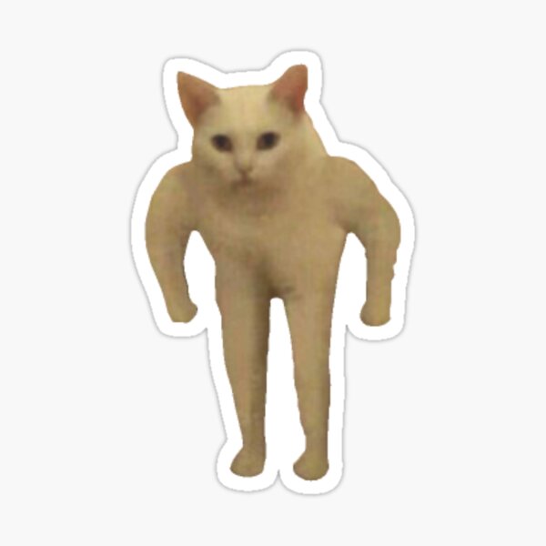 "funny standing cat meme tiktok" Sticker for Sale by UchihaIndustry ...