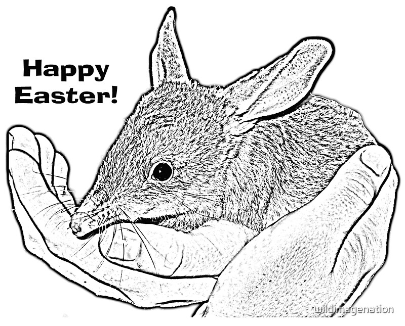 "Happy Easter Bilby" by wildimagenation | Redbubble