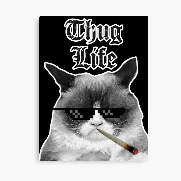 "Thug Life Cat" Canvas Print for Sale by HeadOut | Redbubble
