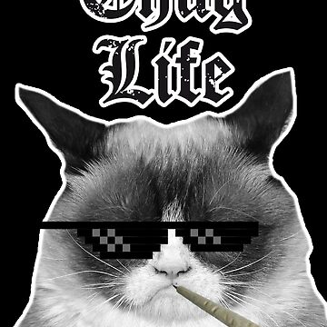 "Thug Life Cat" Metal Print for Sale by HeadOut | Redbubble
