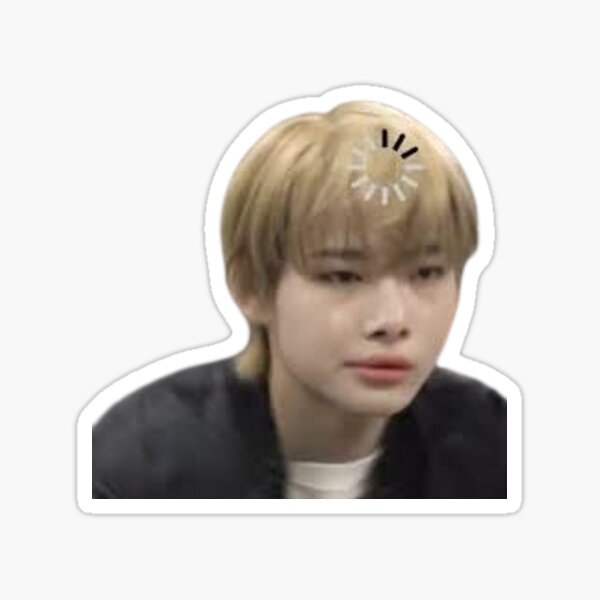 "Niki of Enhypen Meme | " Sticker for Sale by cheldesignss | Redbubble
