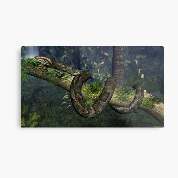 "Reticulated Python" Metal Print for Sale by Skyviper | Redbubble
