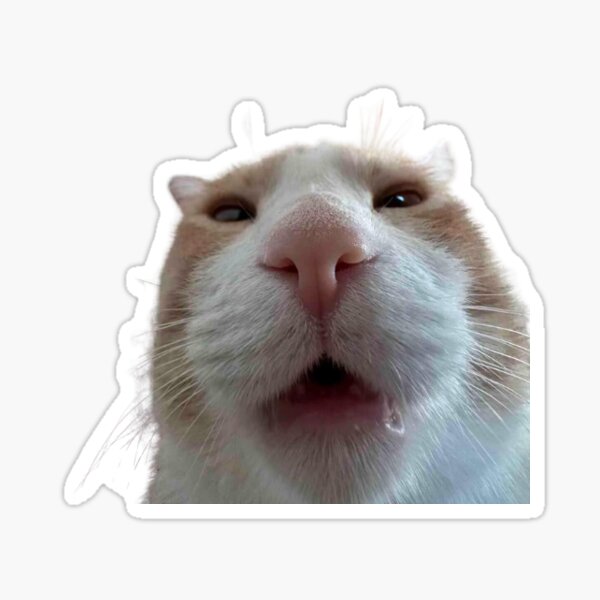 "drooling cat sticker" Sticker for Sale by star1elle | Redbubble
