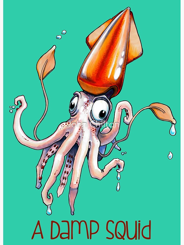 "A Damp Squid" Poster for Sale by DrawnToTheSea | Redbubble