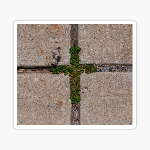 "faith " Sticker for Sale by Nyfakid96 | Redbubble