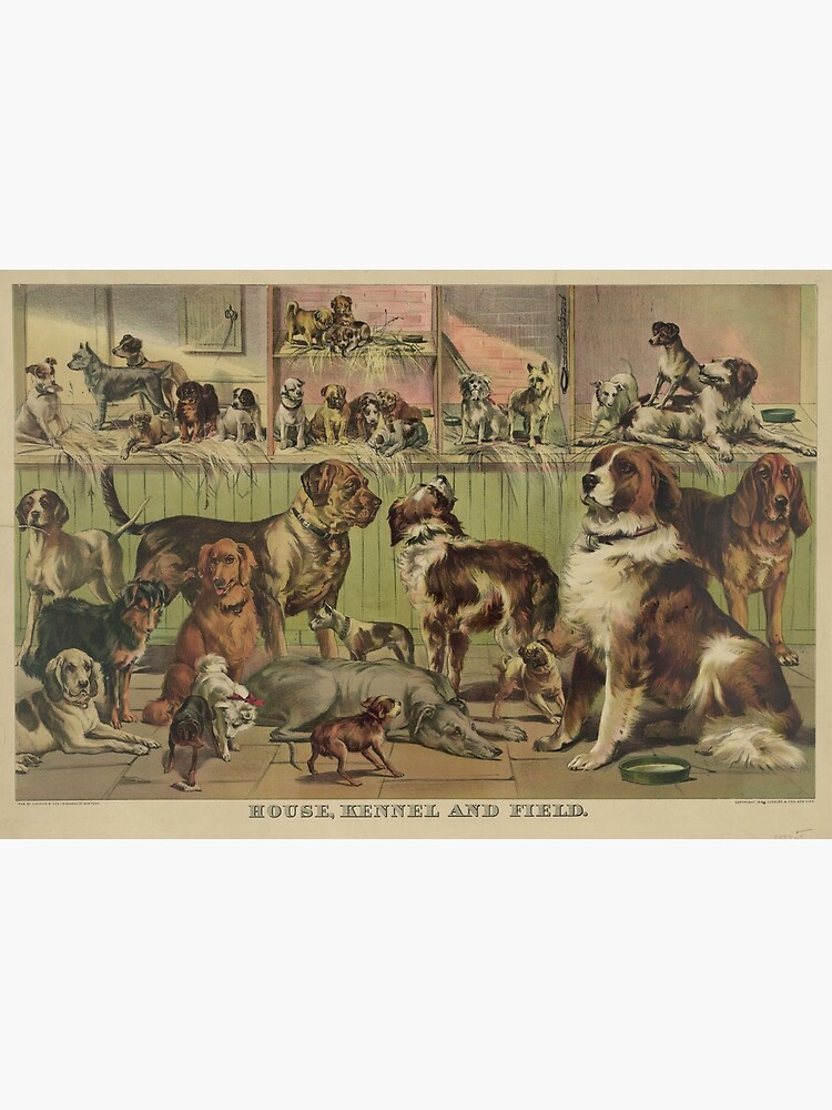 "Vintage Illustration of Various Dog Breeds (1893)" Art Print by ...