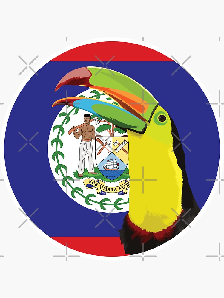 "Belize Toucan Belizean National Animal Flag" Sticker for Sale by FlagX ...