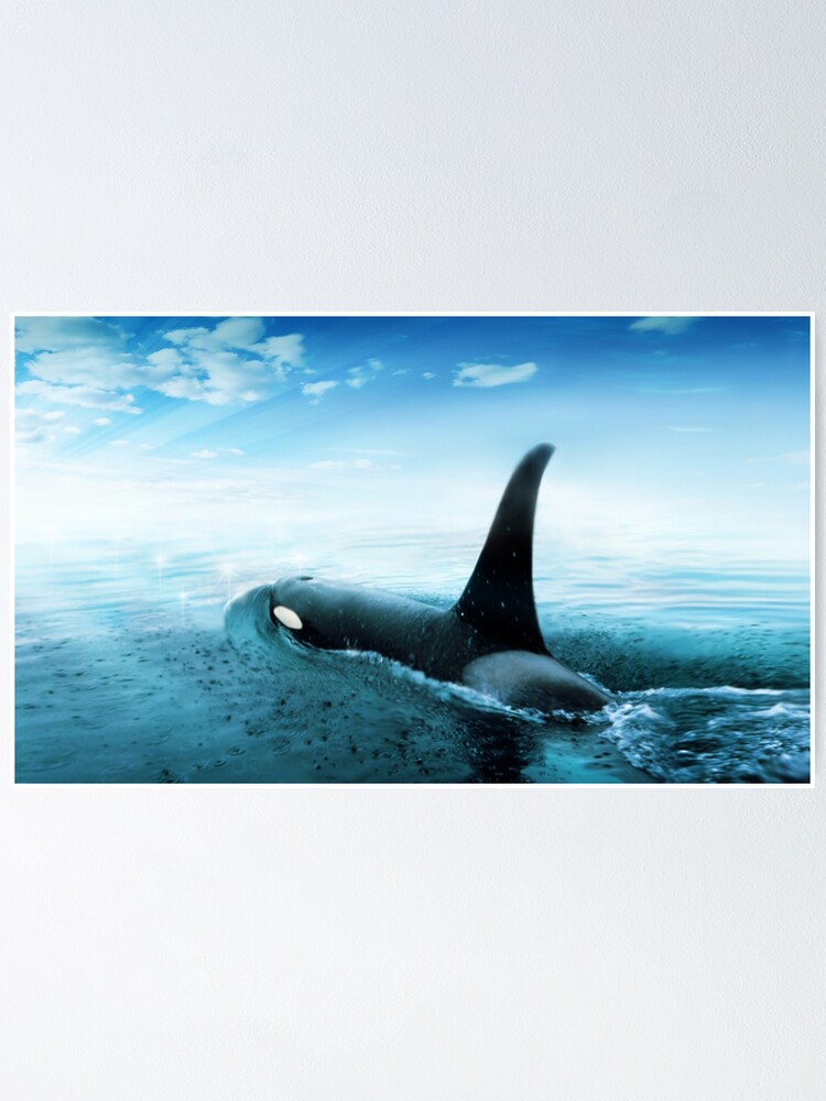 "Orca" Poster by Cliff | Redbubble