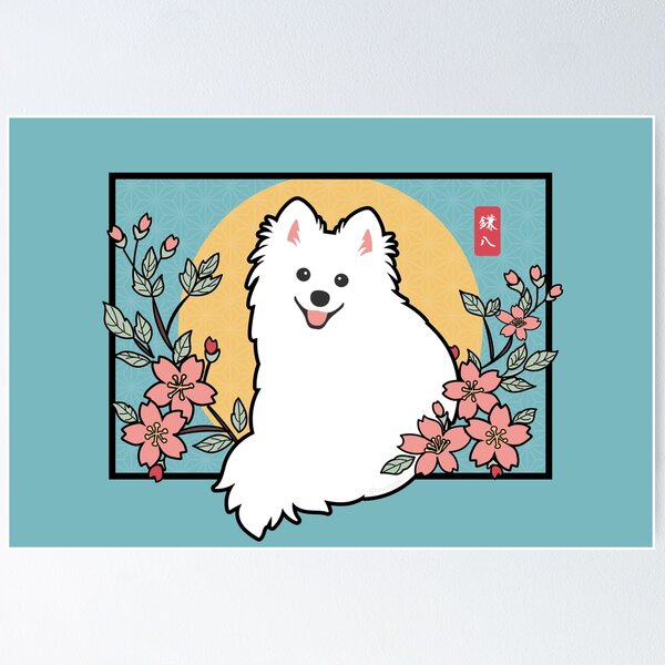 "Cute Japanese Spitz Dog Shinji with Sakura Hanafuda - Kamahachi Design ...