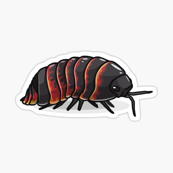 "Super Red Ember Bees Isopod | Roly Poly" Sticker for Sale by ...