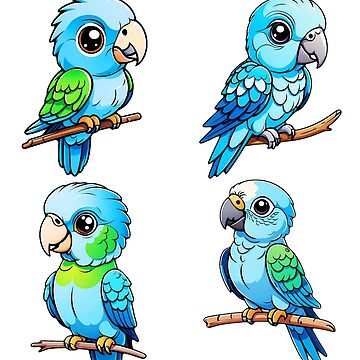 "Quaker Parrot, Cute Blue Quaker Parrot Bird Sticker Pack" Sticker for ...