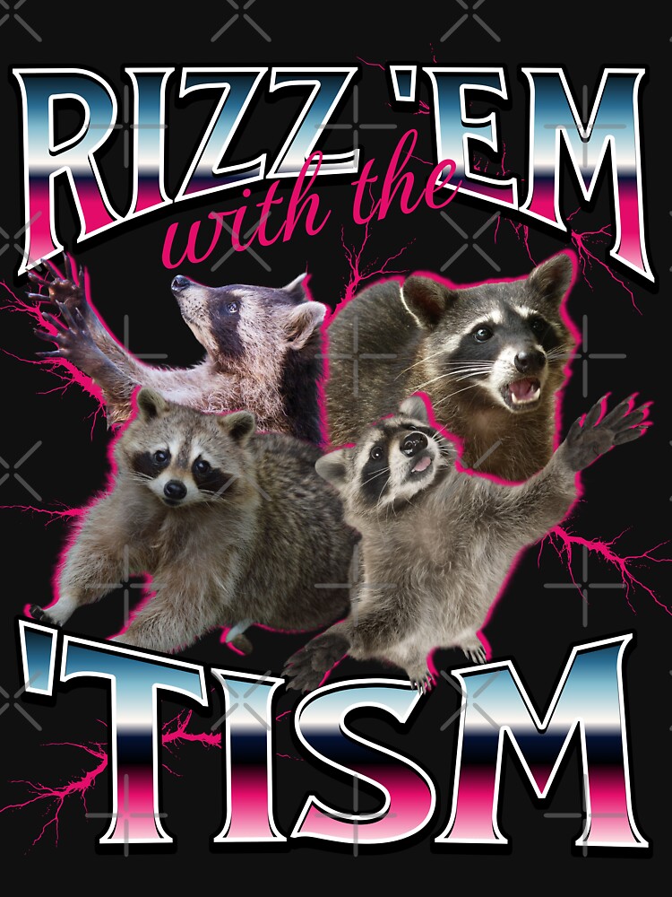 "Rizz Em With the Tism Meme - Funny Autism Racoon in vintage 90s ...
