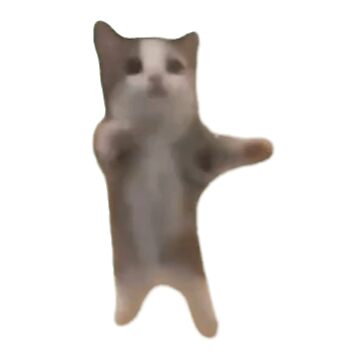 "happi happi happi meme cat" Sticker for Sale by maxshop212 | Redbubble