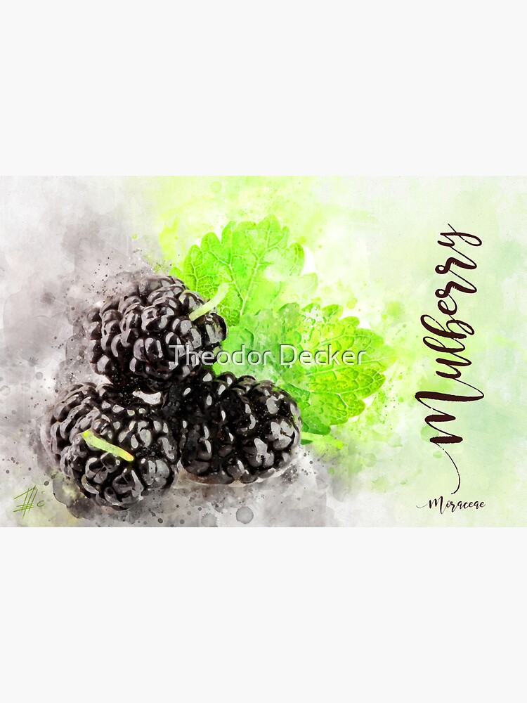 "Mulberry" Sticker by theodordecker | Redbubble