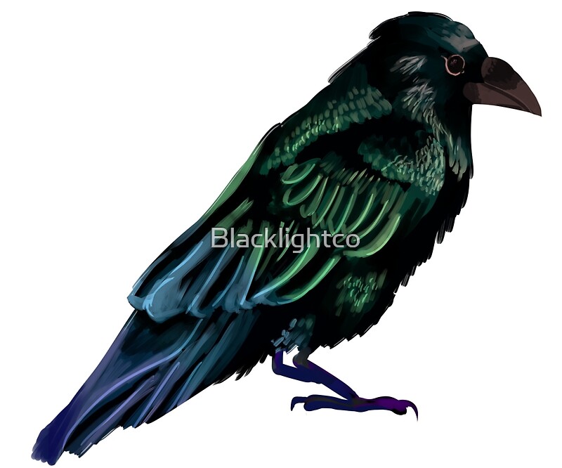 "Rainbow Raven" by Blacklightco | Redbubble