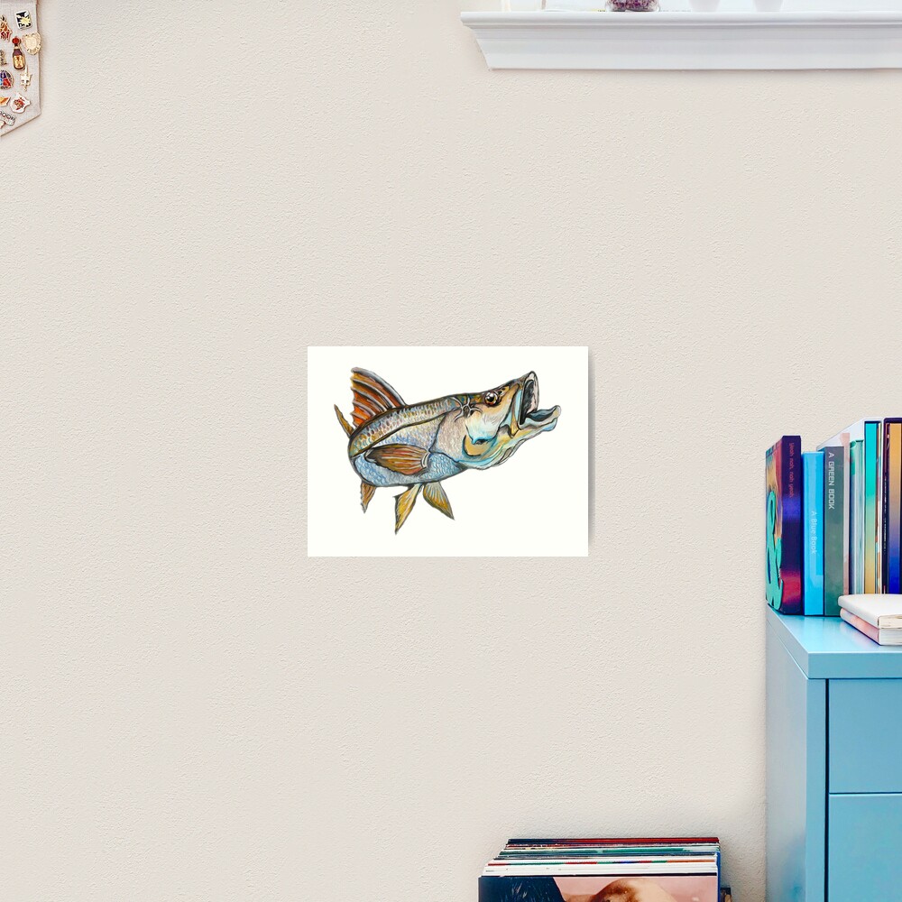 "Snook " Art Print for Sale by Basart | Redbubble