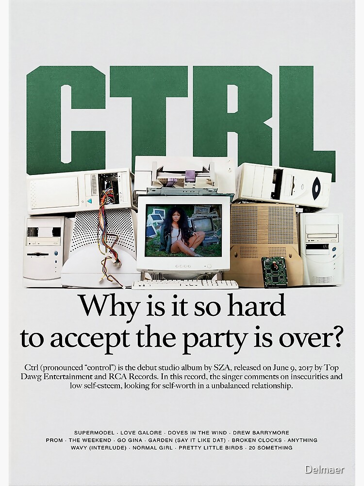 "SZA CTRL Style" Poster for Sale by Delmaer | Redbubble