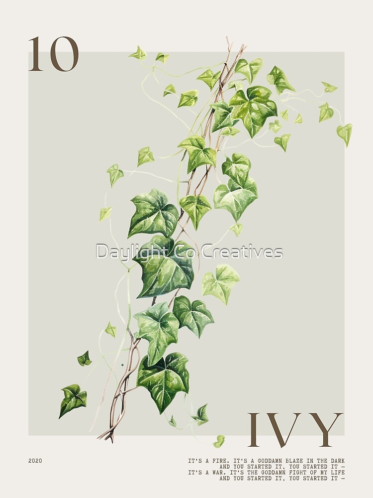"ivy minimalist poster" Poster for Sale by daylightco | Redbubble