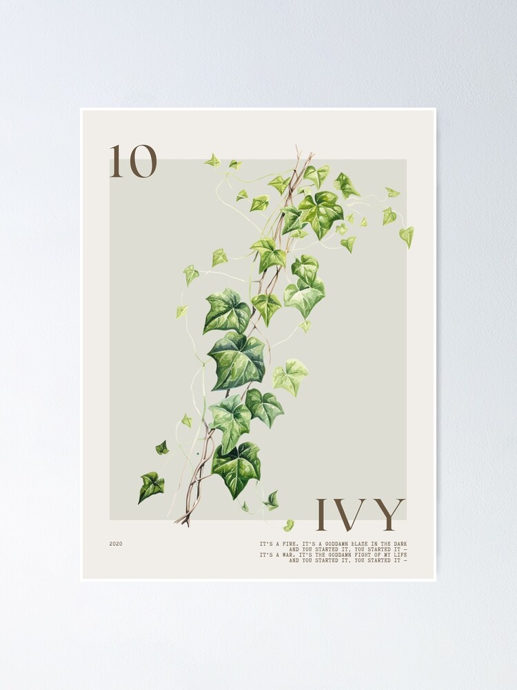 "ivy minimalist poster" Poster for Sale by daylightco | Redbubble