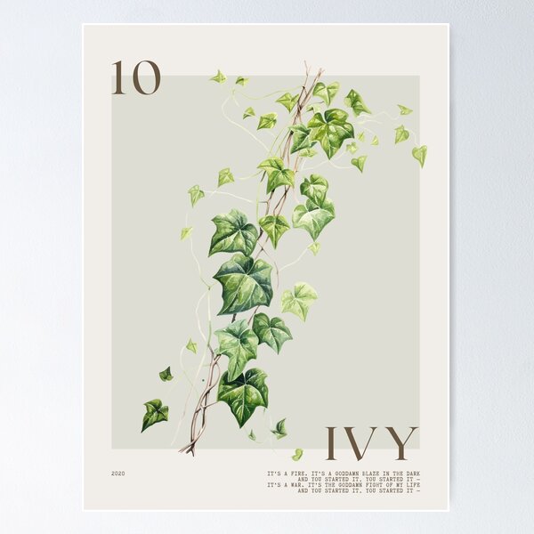 "ivy minimalist poster" Poster for Sale by daylightco | Redbubble