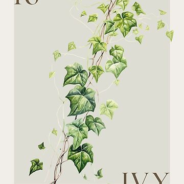 "ivy minimalist poster" Poster for Sale by daylightco | Redbubble