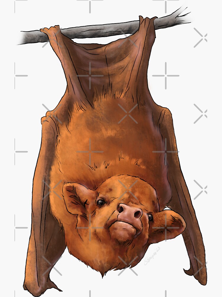 "Cow Bat" Sticker for Sale by SierraSnipes | Redbubble