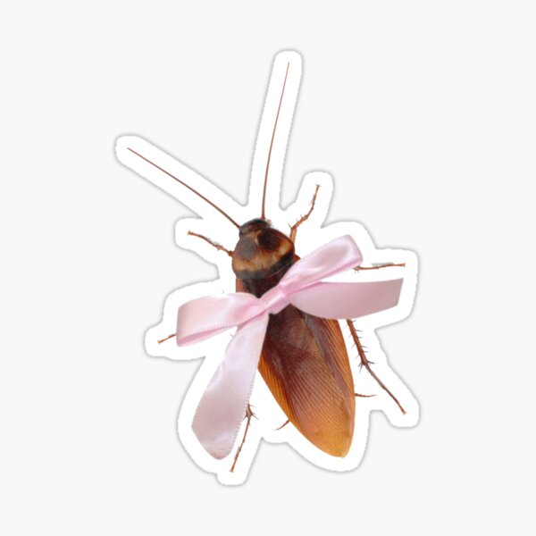 "coquette roach sticker " Sticker for Sale by designsbyhopeca | Redbubble