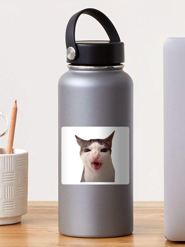 "Crunching Cat Meme" Sticker for Sale by RaisedByKittens | Redbubble