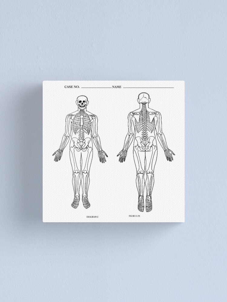 "Blank Autopsy Diagram, Skeleton, anterior and posterior" Canvas Print for Sale by TheRDA ...
