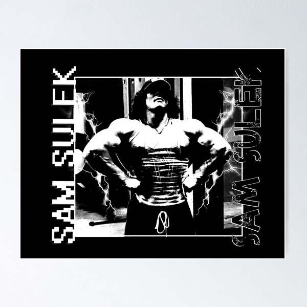 Sulek Posters for Sale | Redbubble