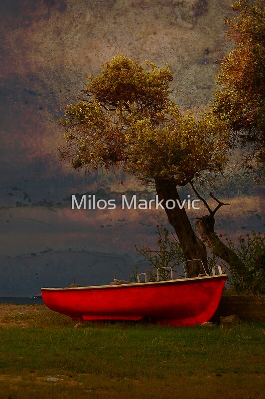 "Under the Olive tree" by Milos Markovic | Redbubble
