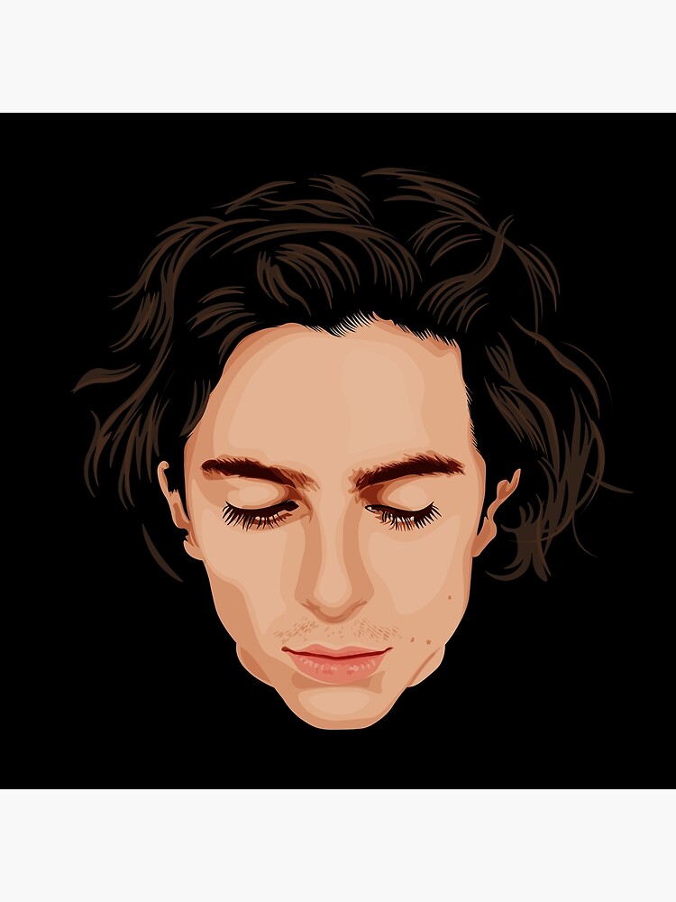 Timothee Chalamet (Elio) Head Premium Matte Vertical Poster sold by ...