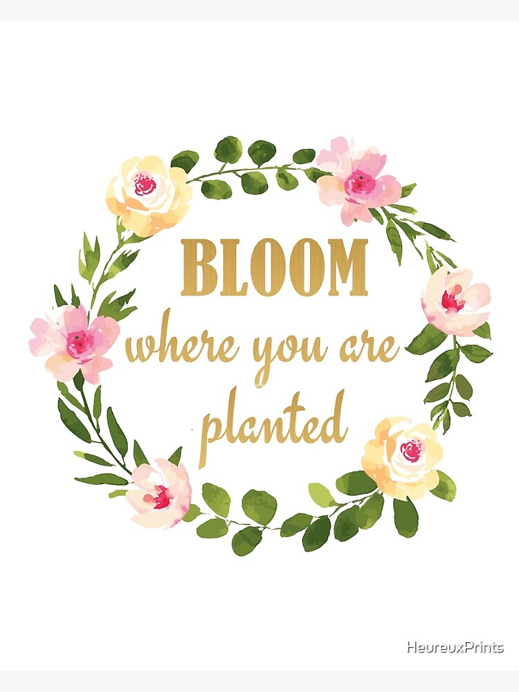 "Bloom Where You Are Planted" Poster for Sale by HeureuxPrints | Redbubble