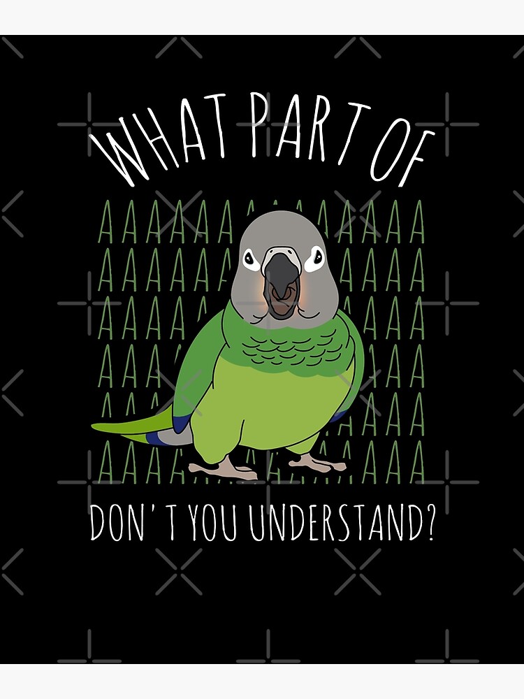 "What Part of AAAAA don't you understand? Dusky headed Conure" Poster ...