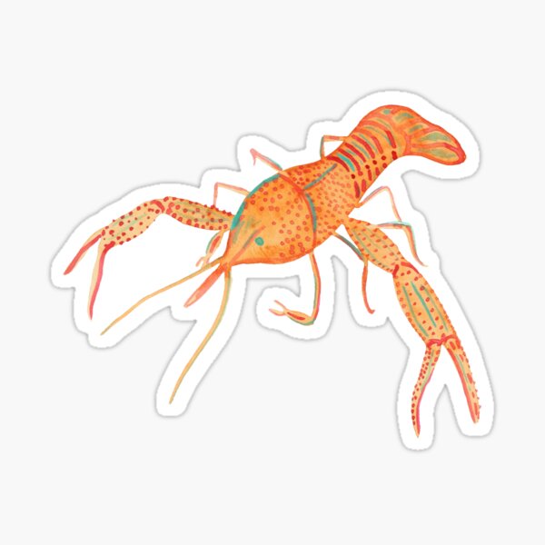 "Festive Crawfish" Sticker by natalievmason | Redbubble