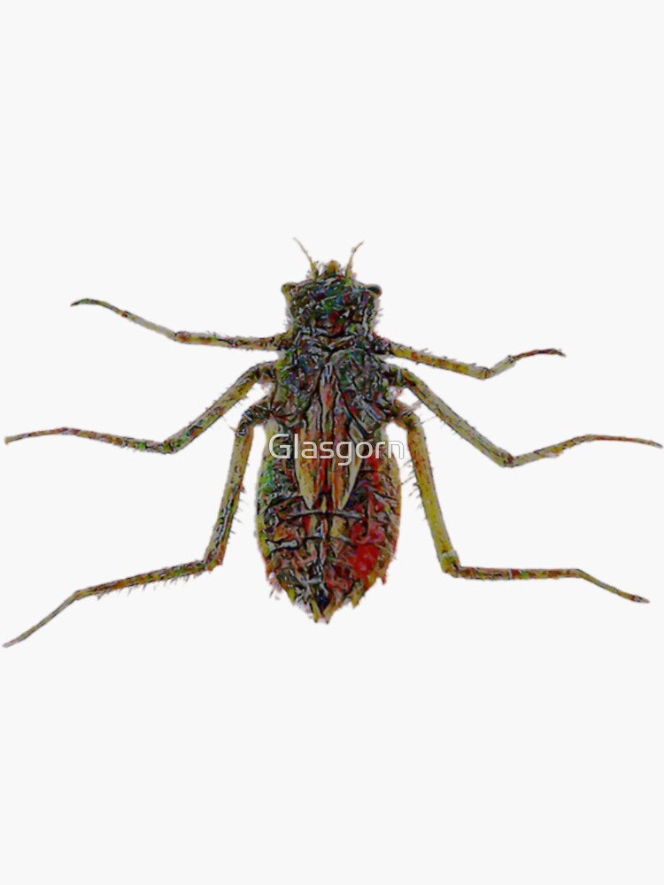 "River Cruiser nymph V1" Sticker for Sale by Glasgorn | Redbubble