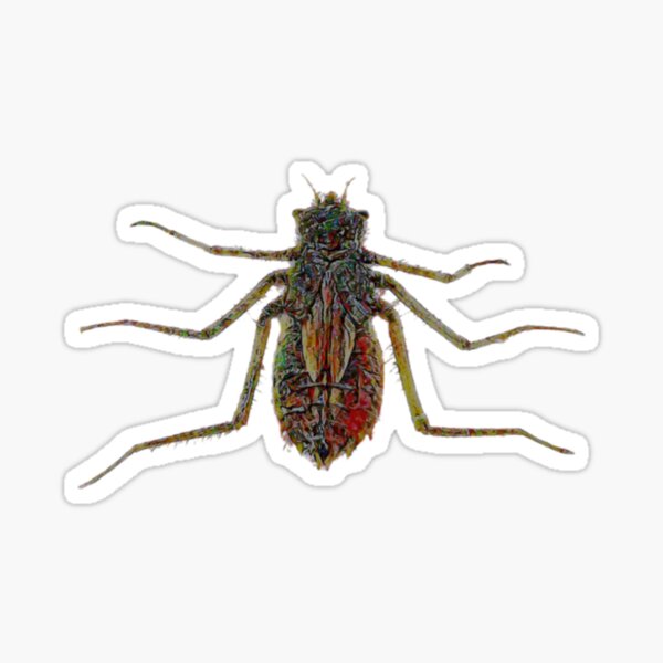 "River Cruiser nymph V1" Sticker for Sale by Glasgorn | Redbubble