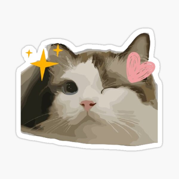 "Wink Cat Meme" Sticker for Sale by WearablesLife | Redbubble