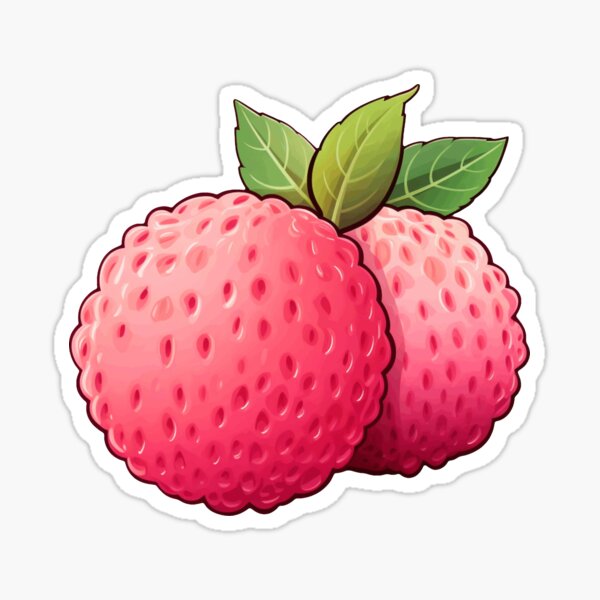 "Lychee Cute Cartoon style" Sticker for Sale by MuteluArtwork | Redbubble