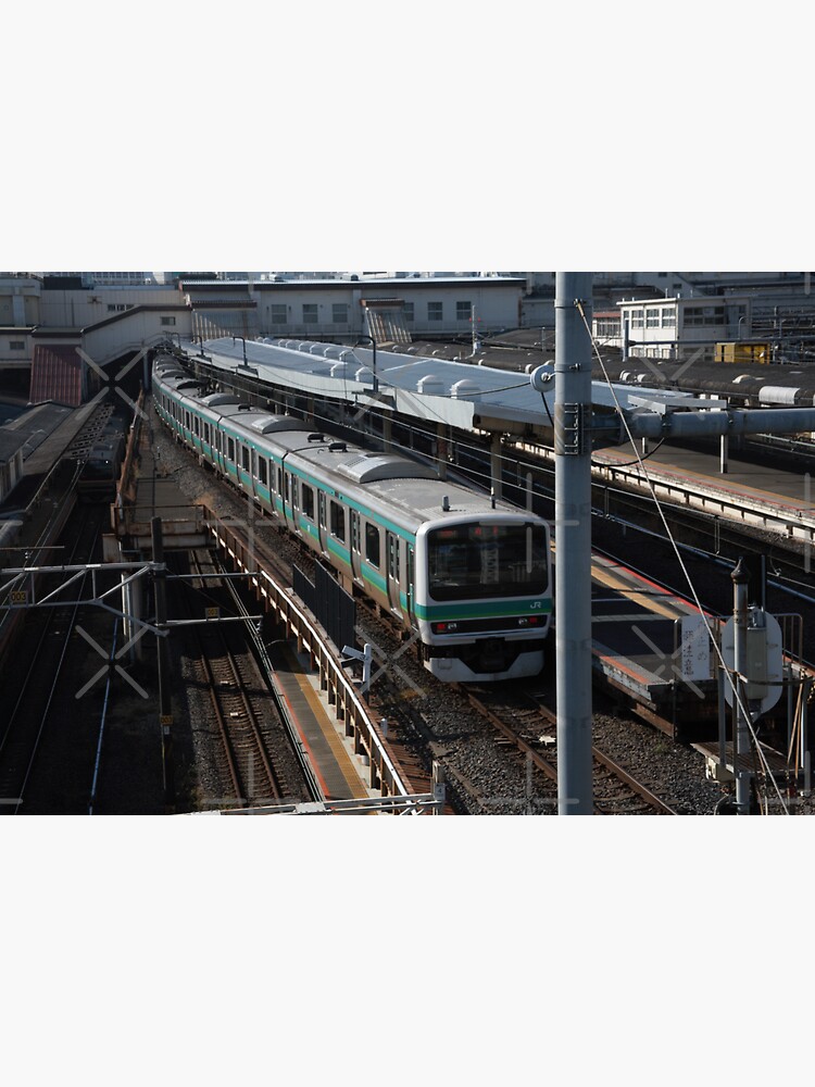 "Winding Train (E231 series Narita Line, at Ueno)" Sticker for Sale by LPYL | Redbubble