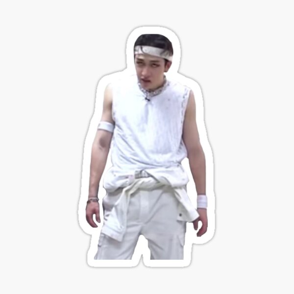 "STRAYKIDS KPOP BANG CHAN MEME" Sticker for Sale by dayas-rainydays ...