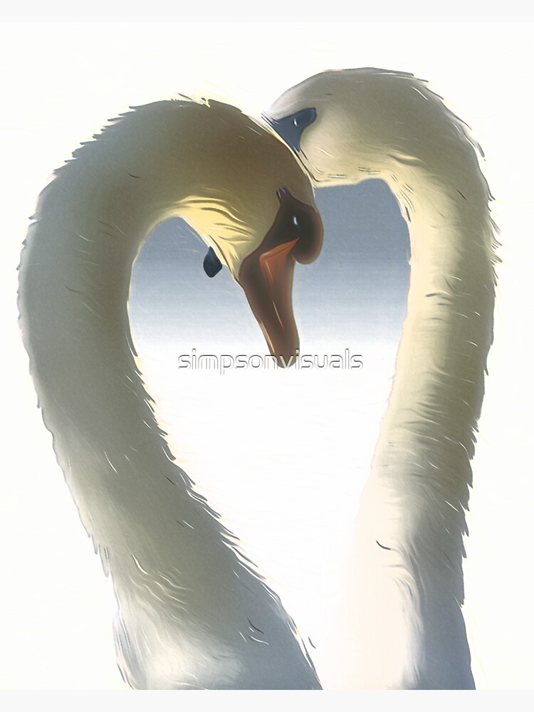 "Swans Heart" Sticker by simpsonvisuals | Redbubble