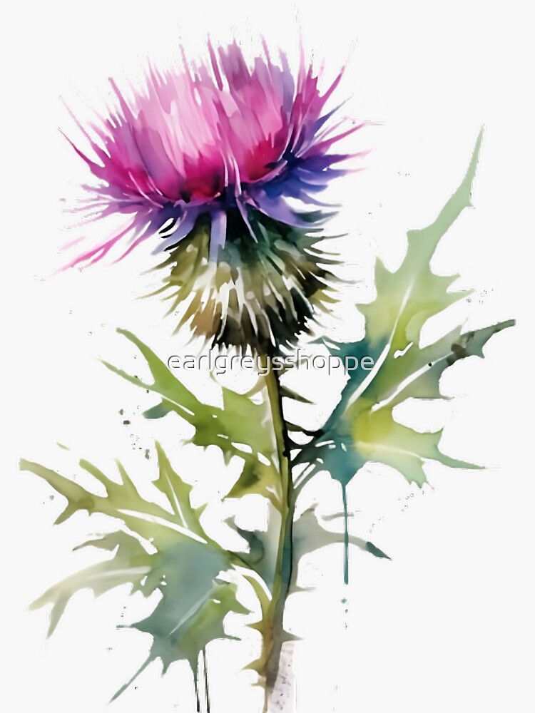 Scottish Thistle Decals