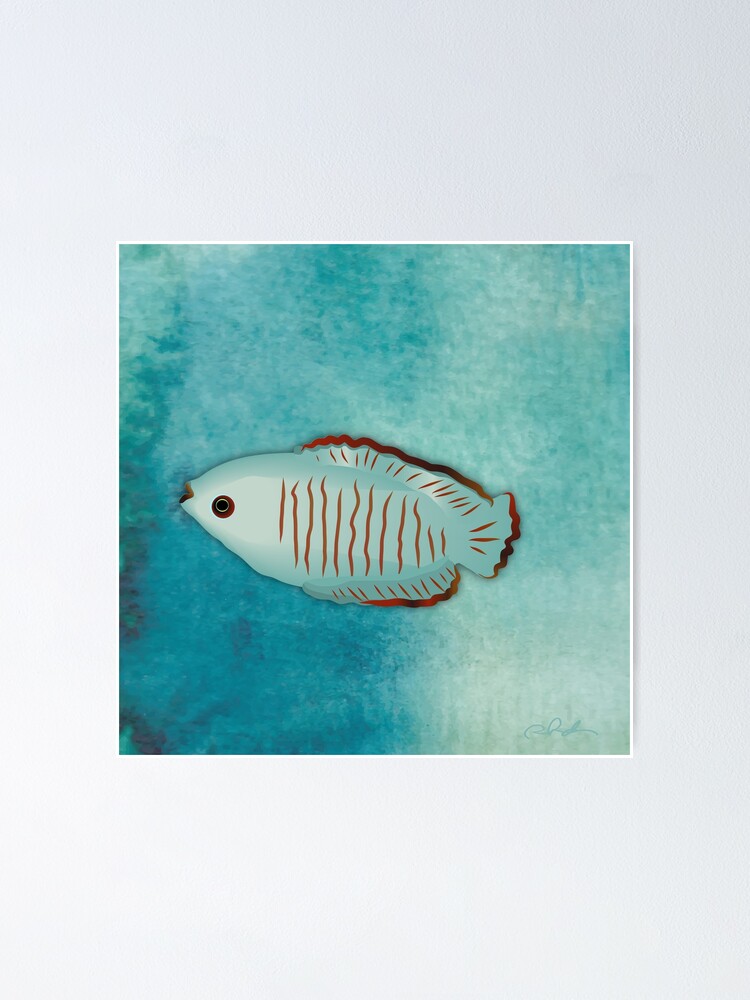 "One little fish in the big blue" Poster for Sale by Nettieliz | Redbubble