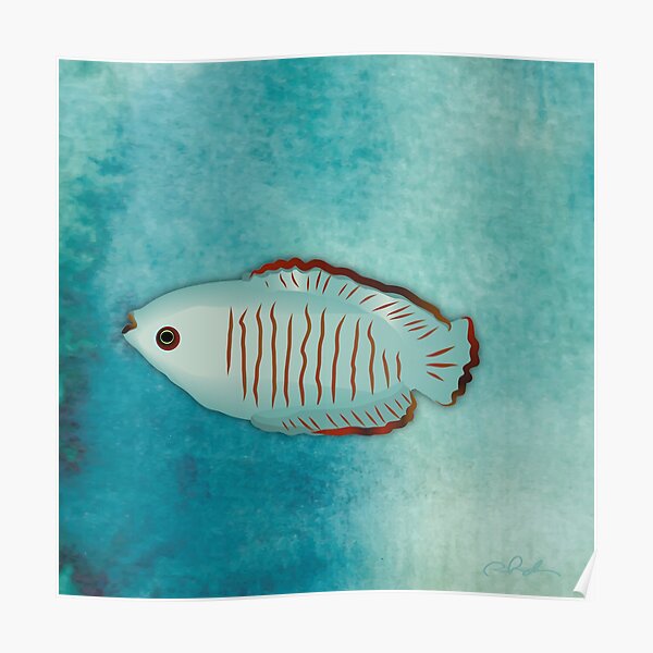 "One little fish in the big blue" Poster for Sale by Nettieliz | Redbubble