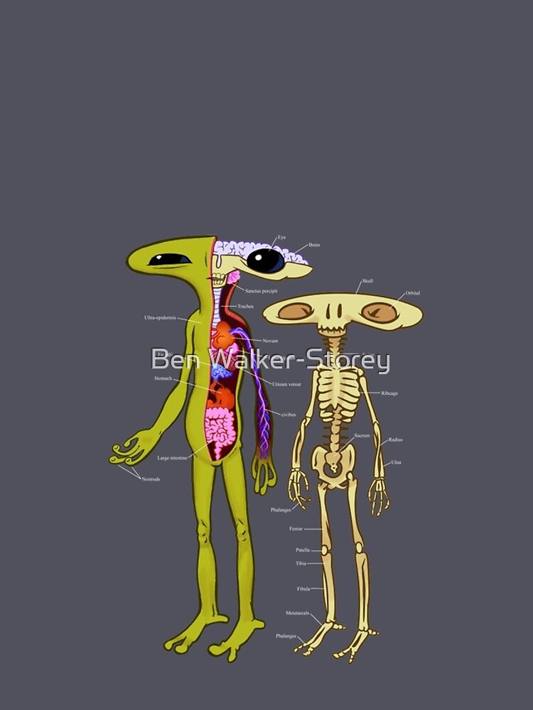"Alien Anatomy - Cutaway Diagram" iPhone Case for Sale by ThatBenWalker ...