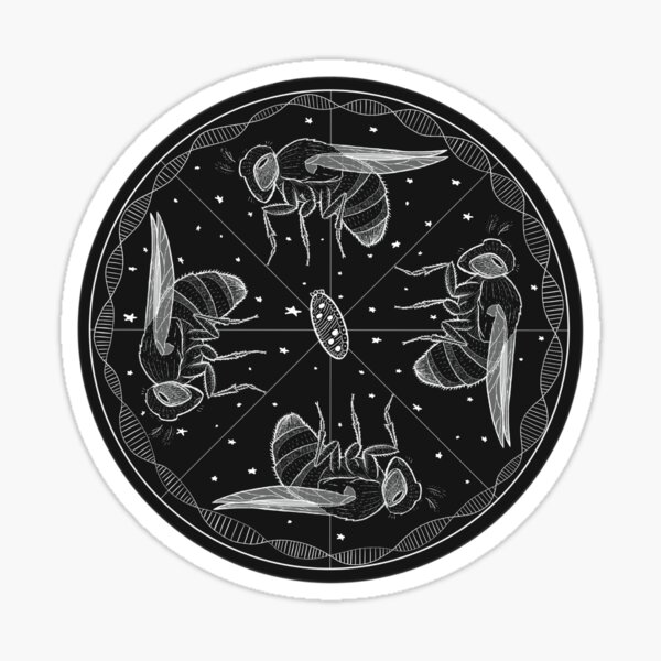 Drosophila Merch & Gifts for Sale | Redbubble